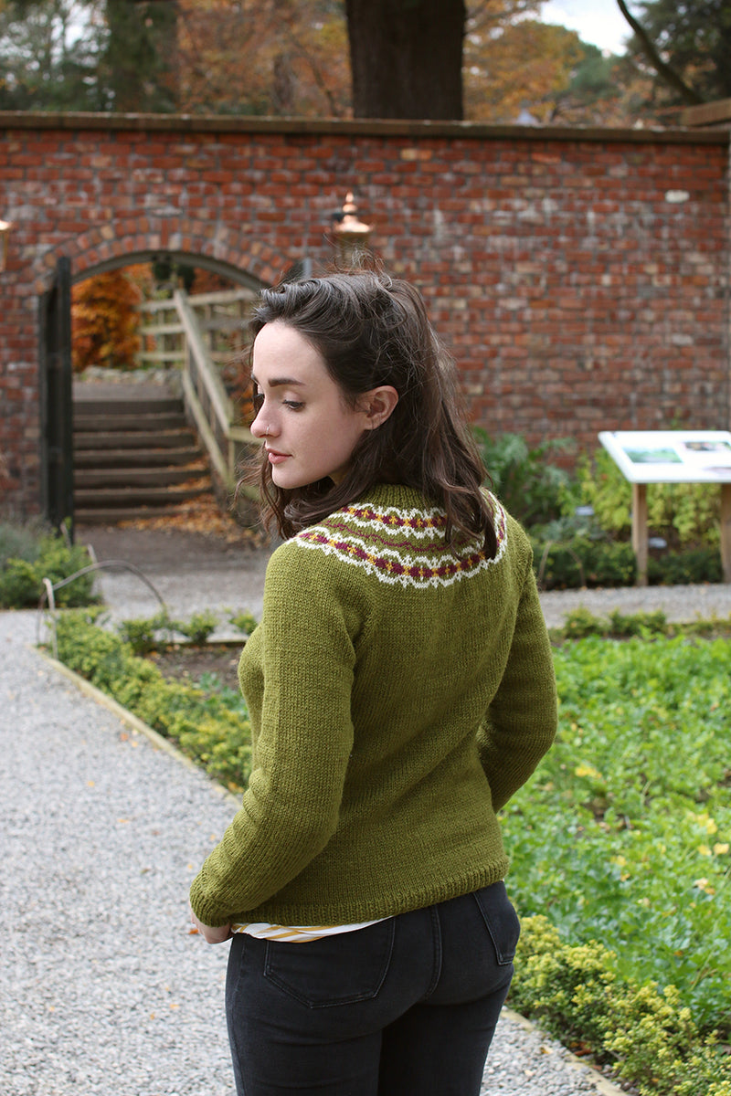 Pattern - Constant Companion - Susan Crawford Vintage